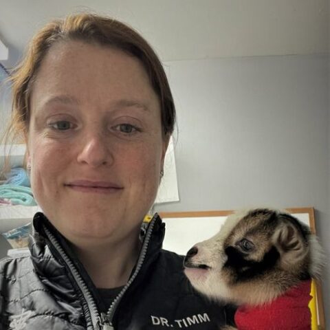 Veterinarian In Roxbury, CT 06783 | Roxbury Animal Hospital